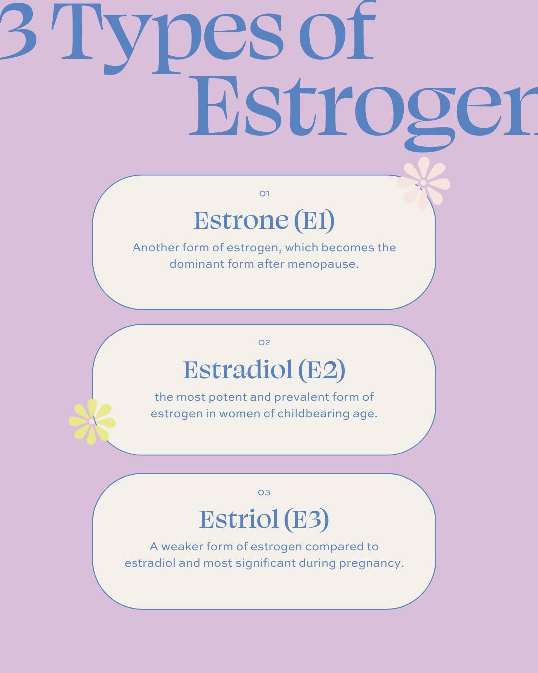 Fernnaturopath We Often Talk About Estrogen As One Of The Female Hormones But To Many Peoples