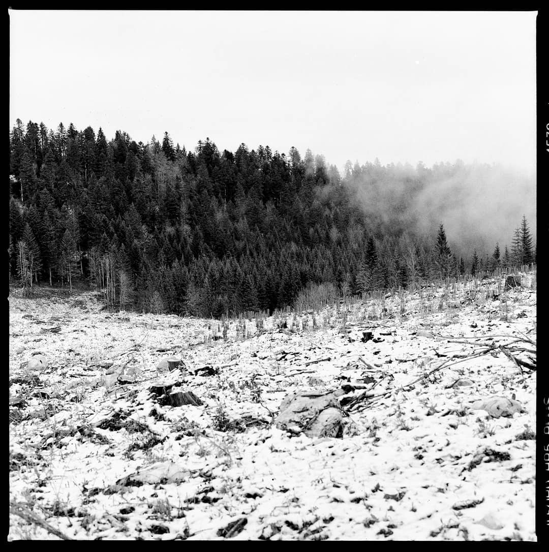 Lucien Rousset Photographe Avril 19 Route Des Gras Doubs Franche