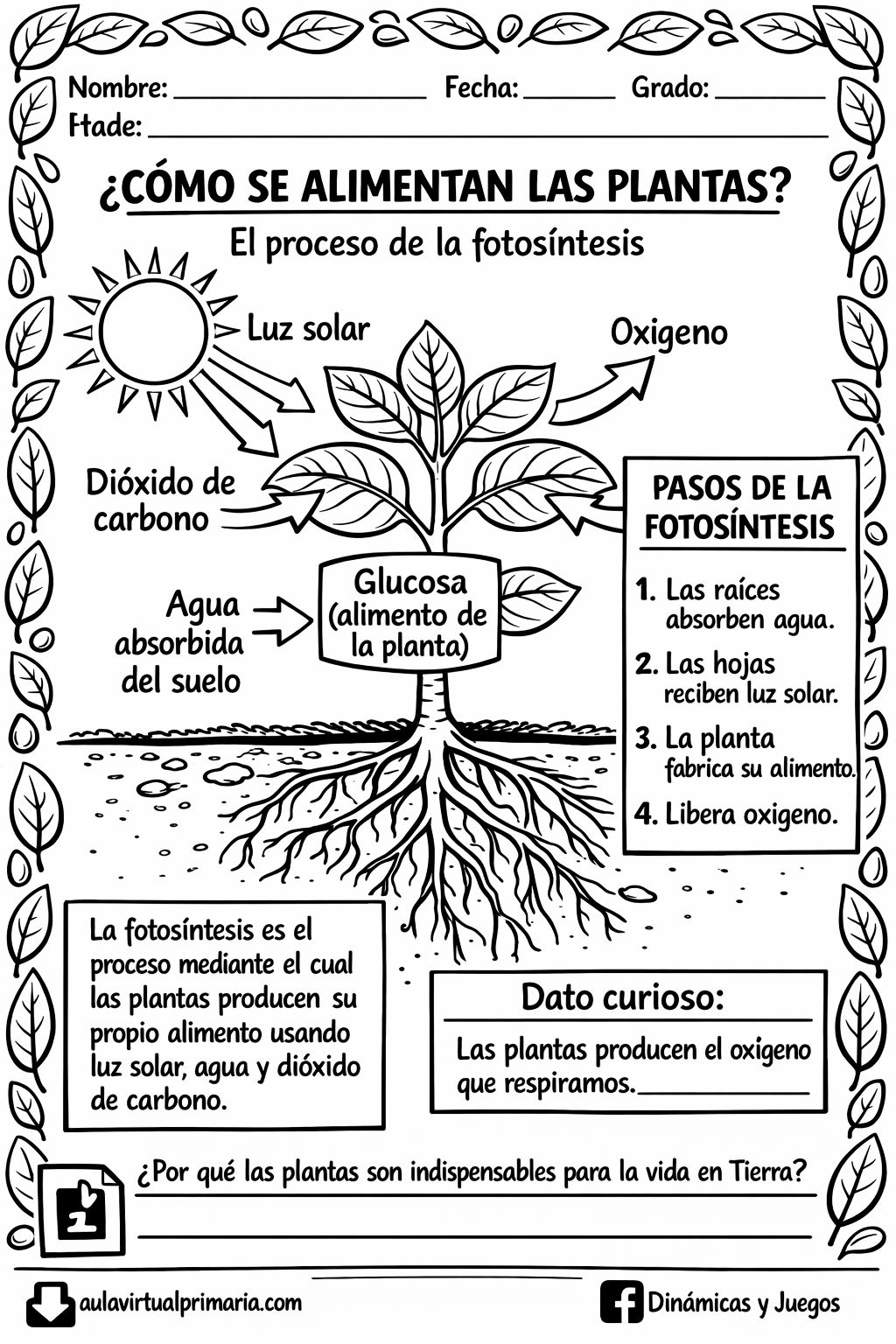 Dinamicas - 🌿 NUEVA FICHA EDUCATIVA 🌿 ¿Sabías que las plantas producen ...