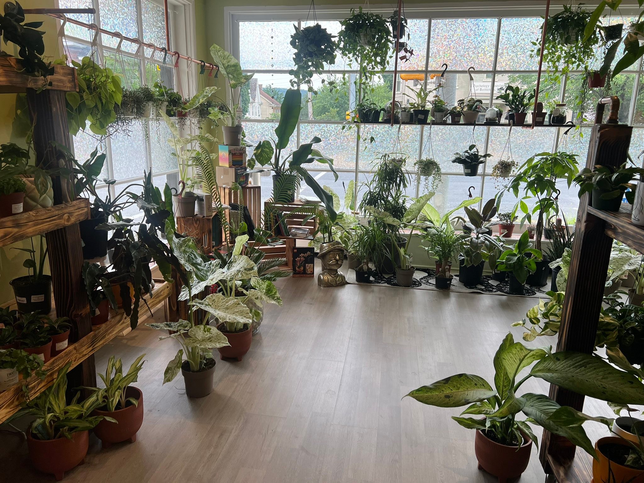 The Wicked Botanist Added A New Photo The Wicked Botanist