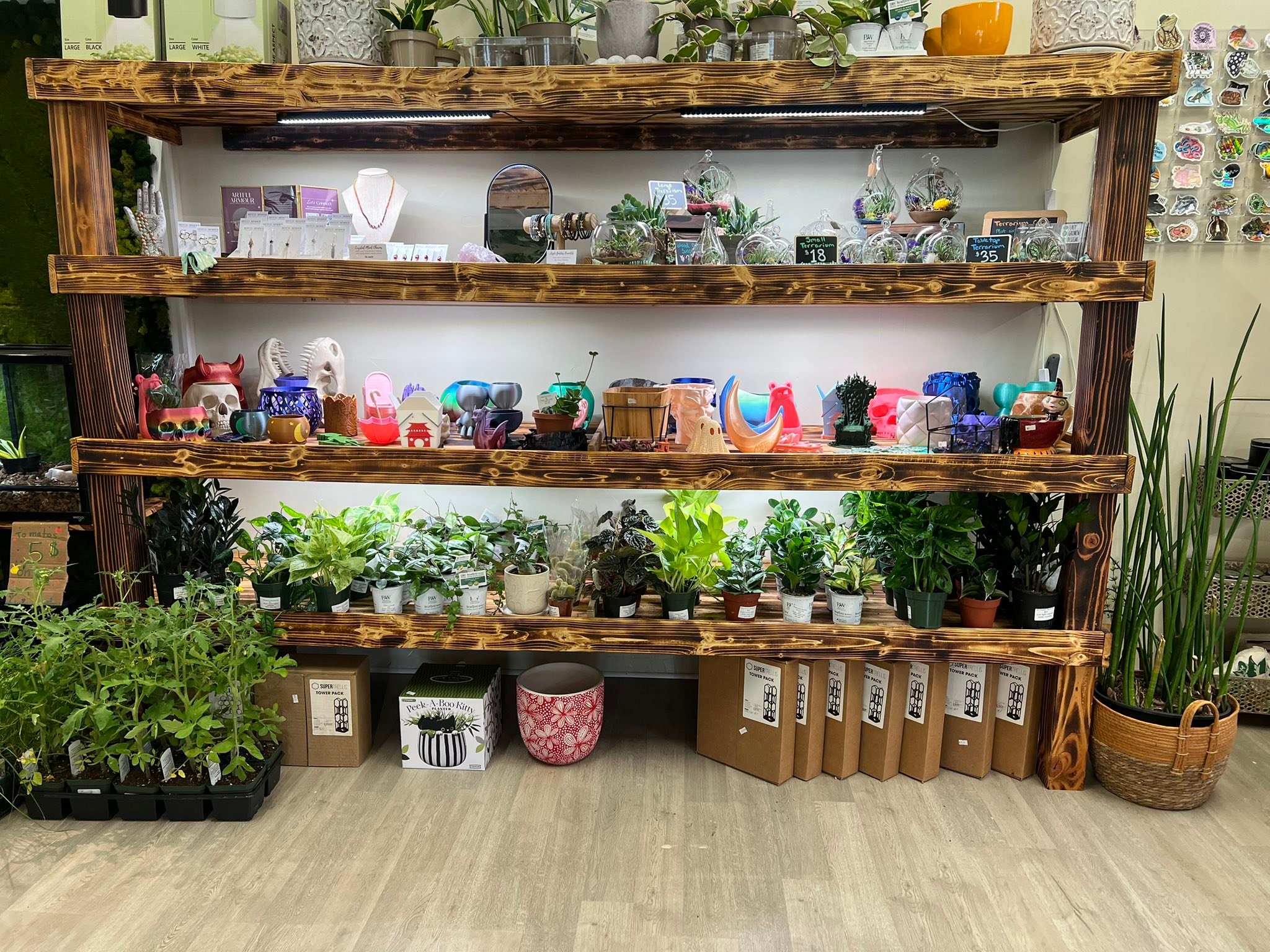 The Wicked Botanist Added A New Photo The Wicked Botanist