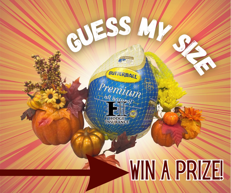 Hodge - 🎉🦃 It’s Turkey Time, Folks! 🦃🎉 Hodge Insurance presents… “Guess ...