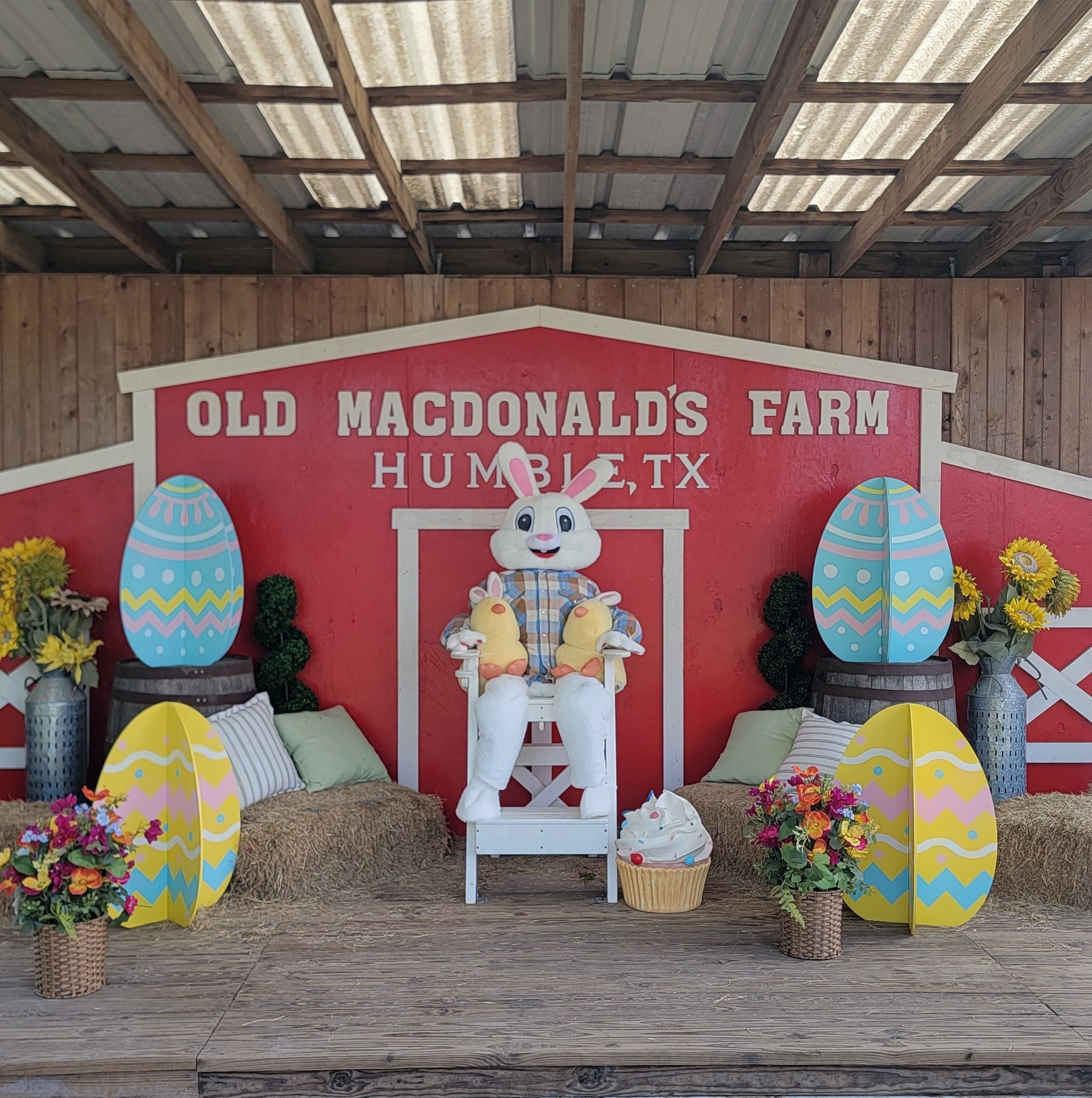 Old MacDonald's Farm | Humble TX