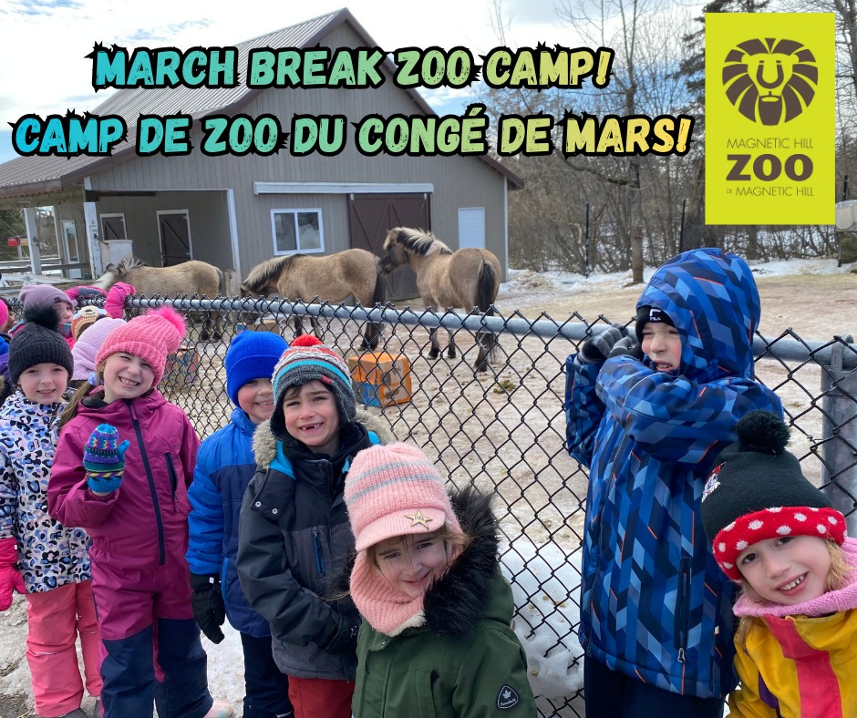 🌟 March Break Zoo Camp 2026 is... - Zoo de Magnetic Hill Zoo | Facebook