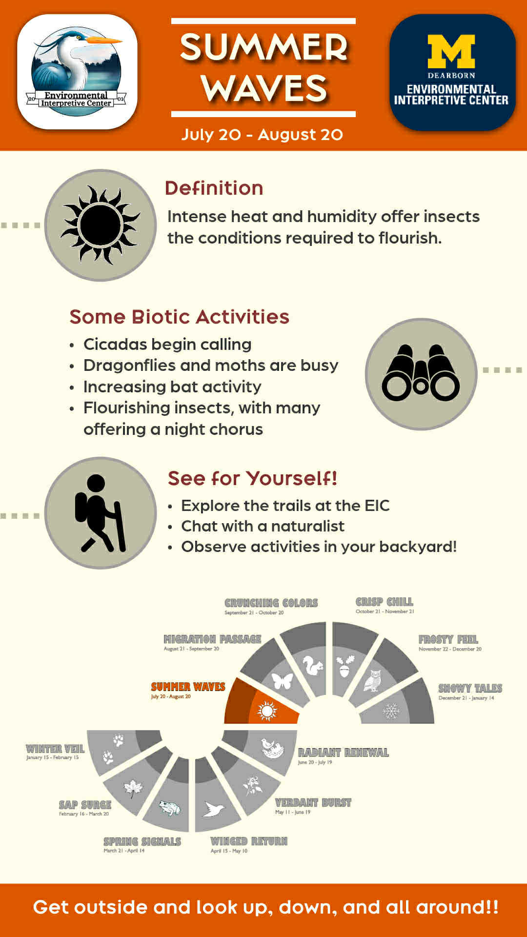 Environmental - The height of summer is here! Our calendar of ...