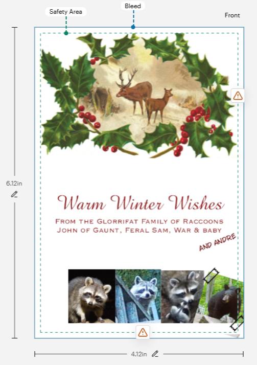 Sharyn - The second year's card from the raccoons. For instructions on ...