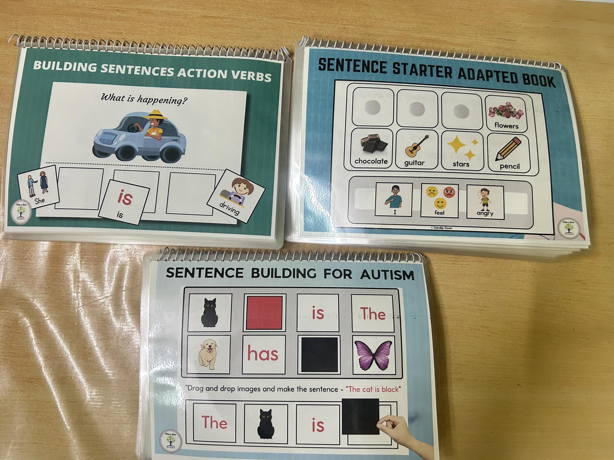 DISHA - Sentence Building Adapted Books https://resourceforteacher.com ...