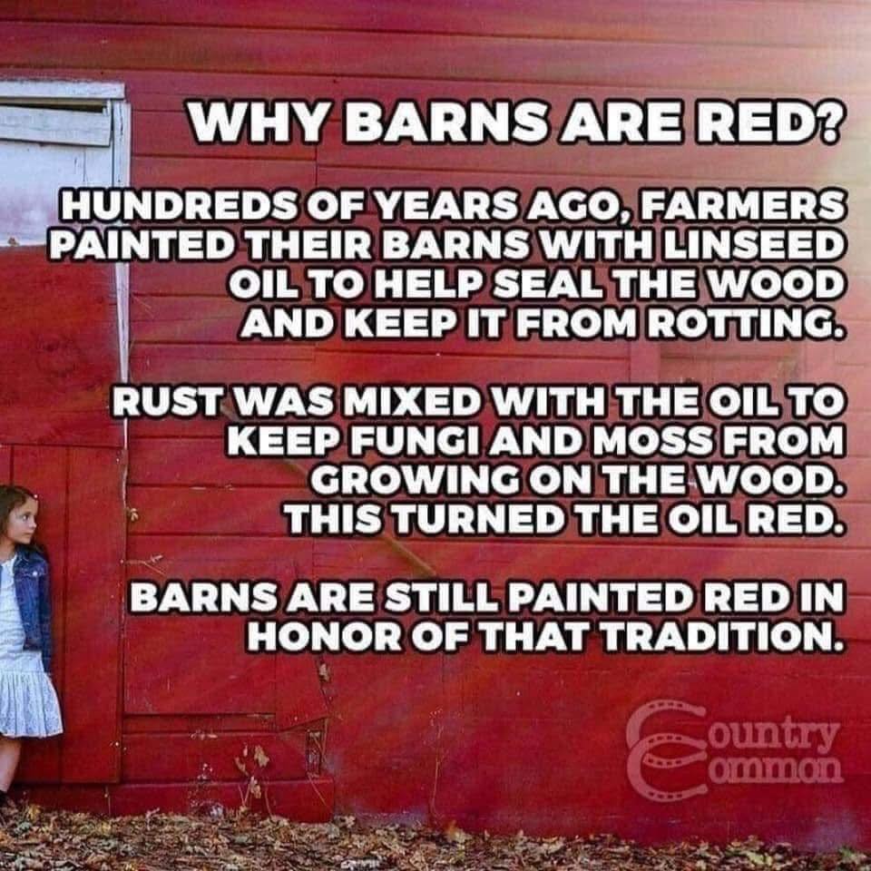 Preservation - Did You Know? #dvfpreservationnation | Facebook