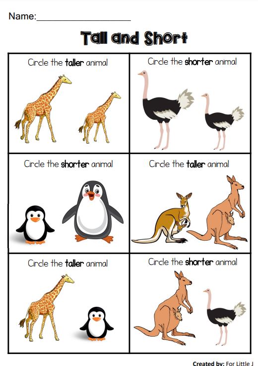 For Little J - FREE Tall and Short Worksheets Click here... | Facebook