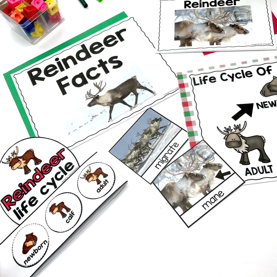 Our Reindeer Science Units for... - A Dab of Glue Will Do | Facebook