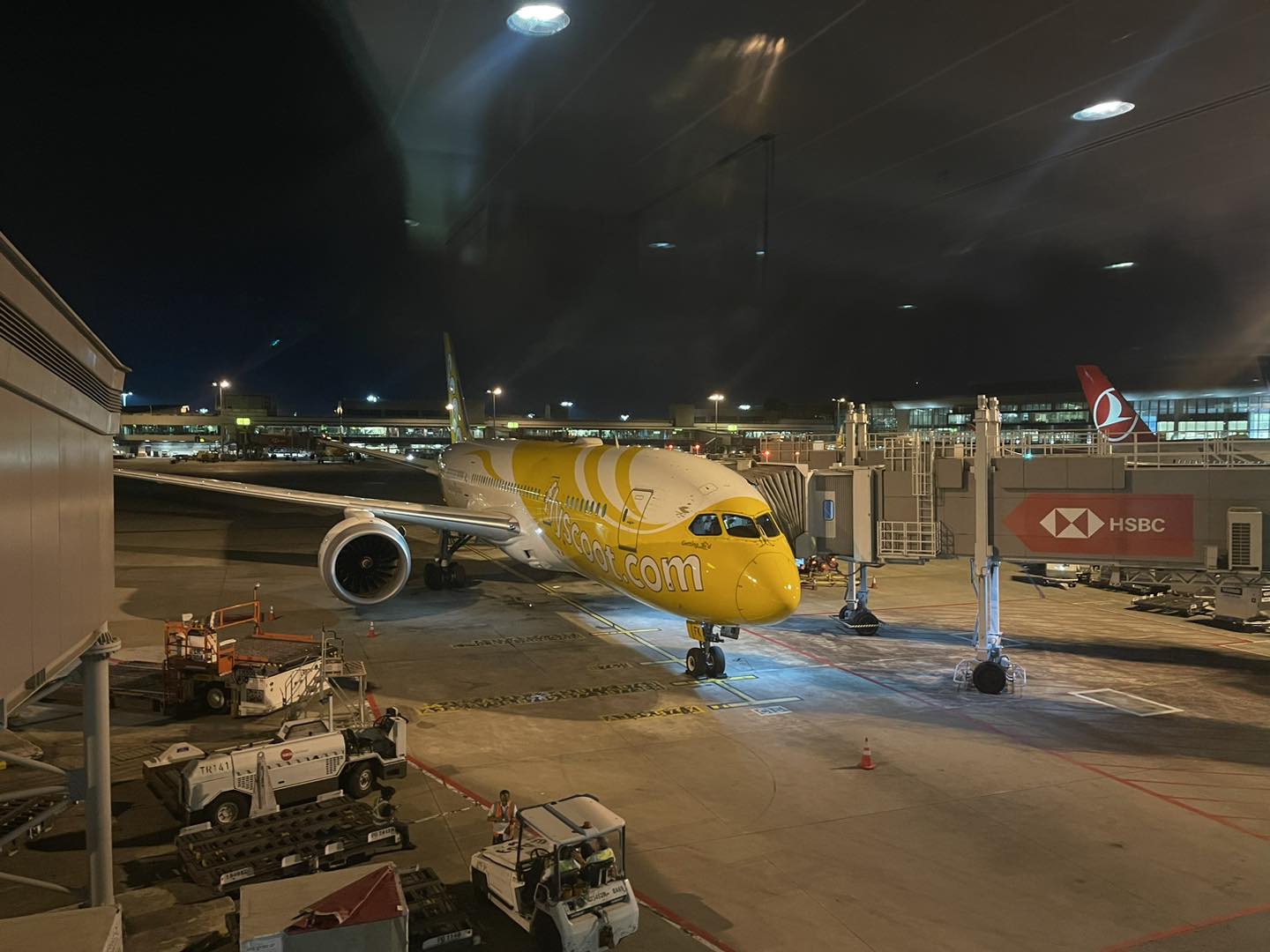 Review กลับไทยด้วย Scoot Air... - The Travel Route | Facebook