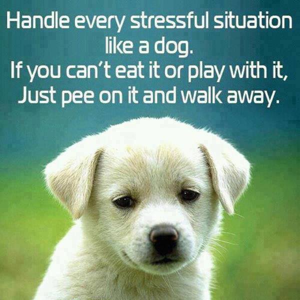 Dave Hedges - Please visit www.Daveswordsofwisdom.com and www ...