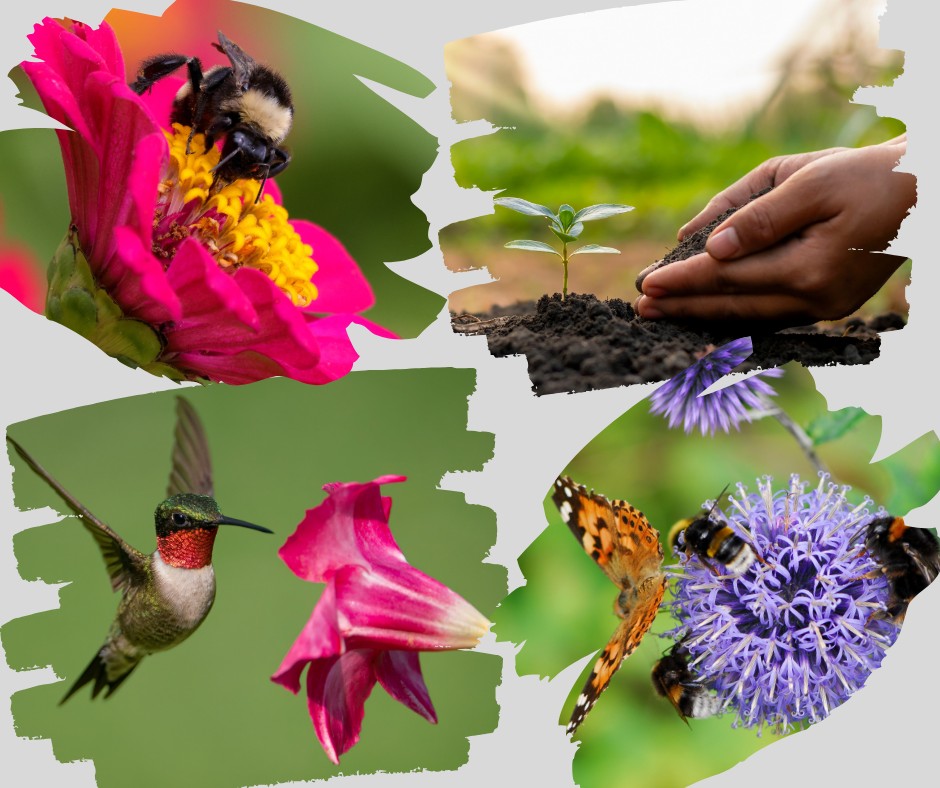 The Journey - Welcome Spring at the Journey Museum by learning about ...
