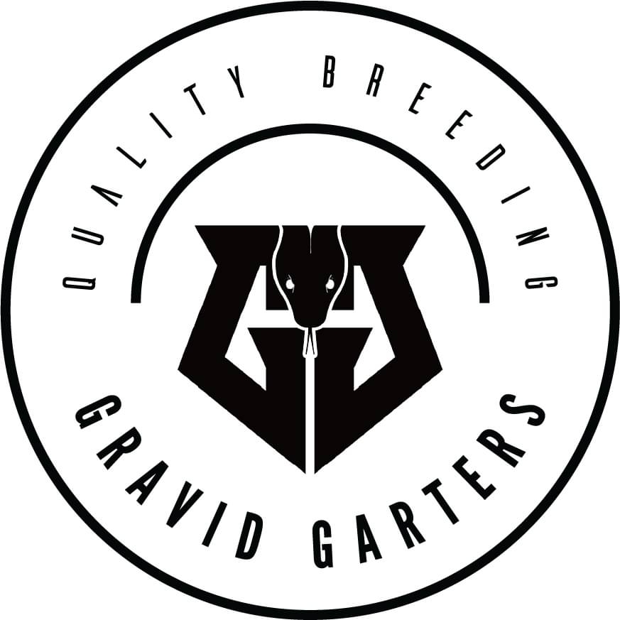 Gravid Garters