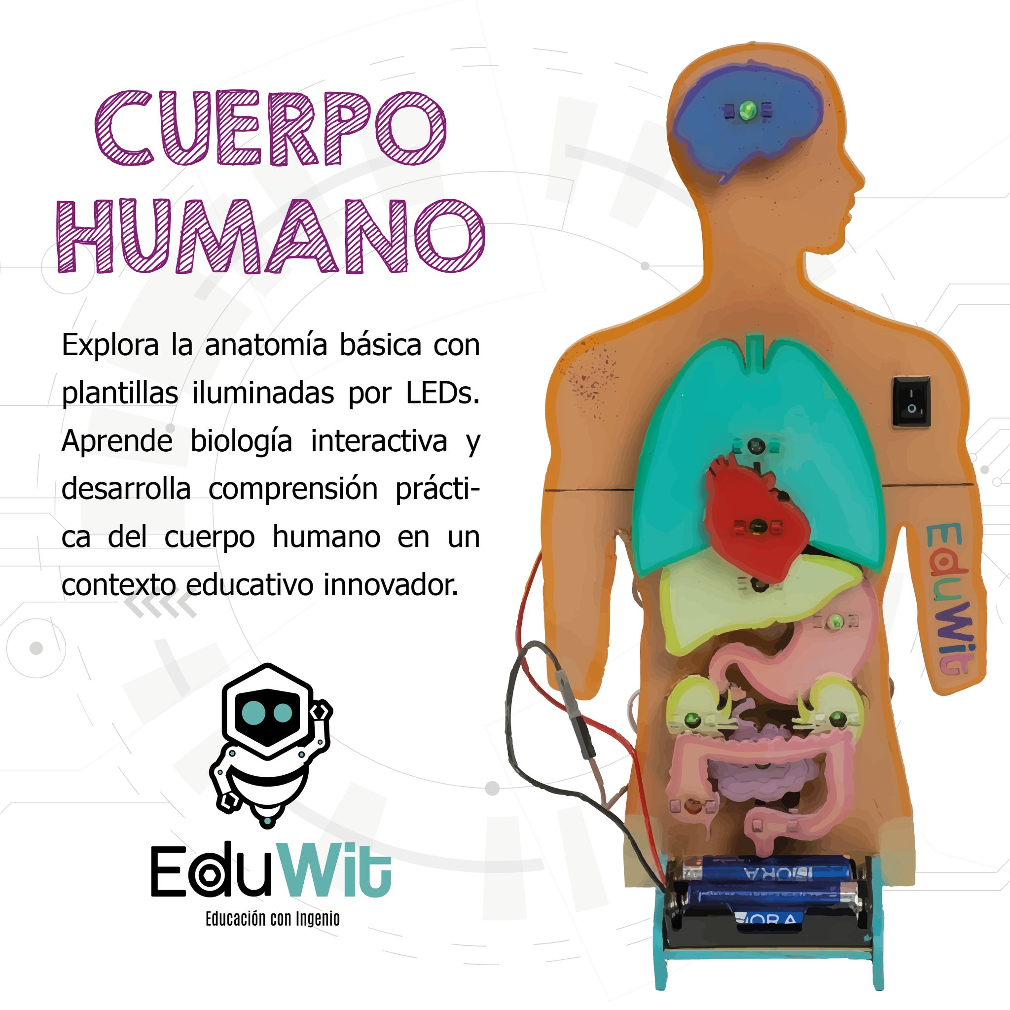 EduWit - Nuestro Kit Educativo STEAM "Cuerpo Humano" está diseñado para ...