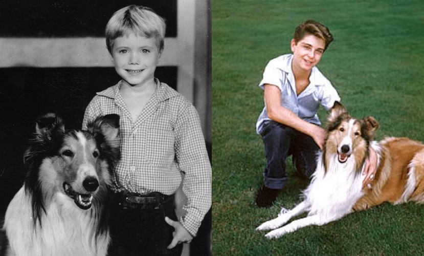 Old - For generations of television fans, Lassie remains one of the ...