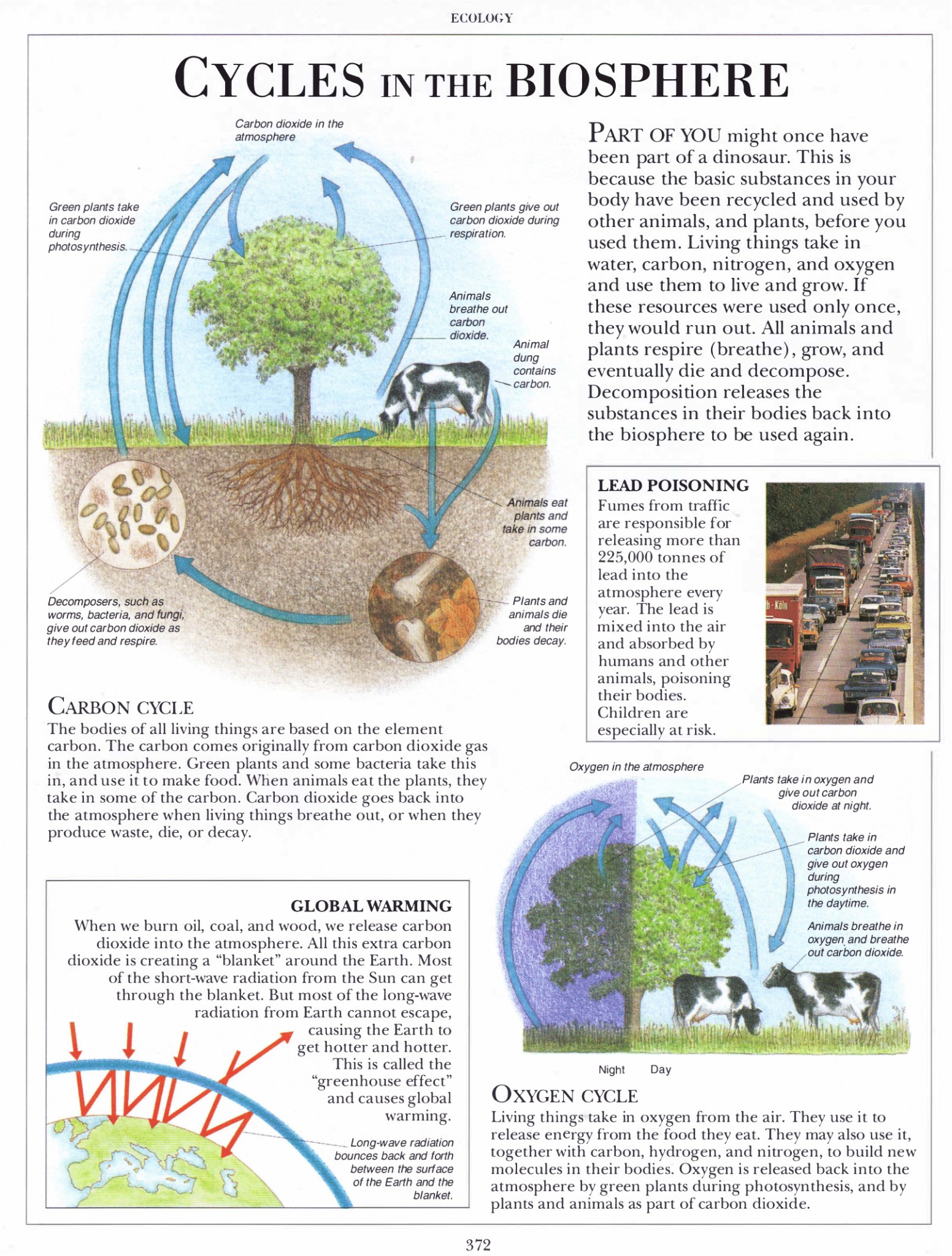 Ceres - Cycles in the Biosphere by DK Science Encyclopedia. | Facebook