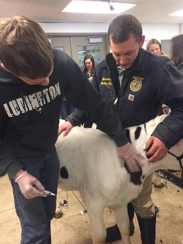 CTC FFA - The Agriculture & Animal Science has been busy...