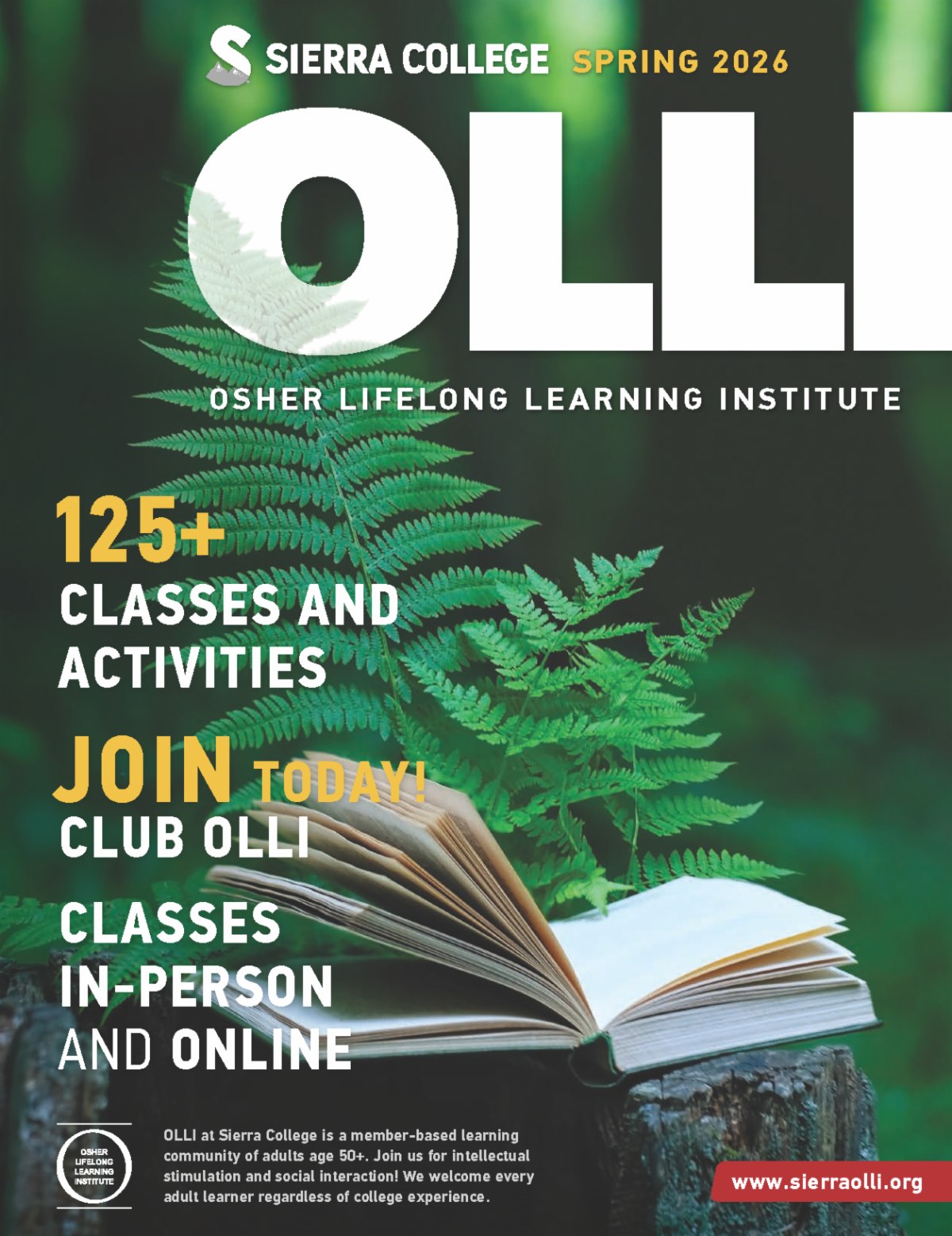 Olli Olli Spring 2026 Registration Opens On Wednesday January 7