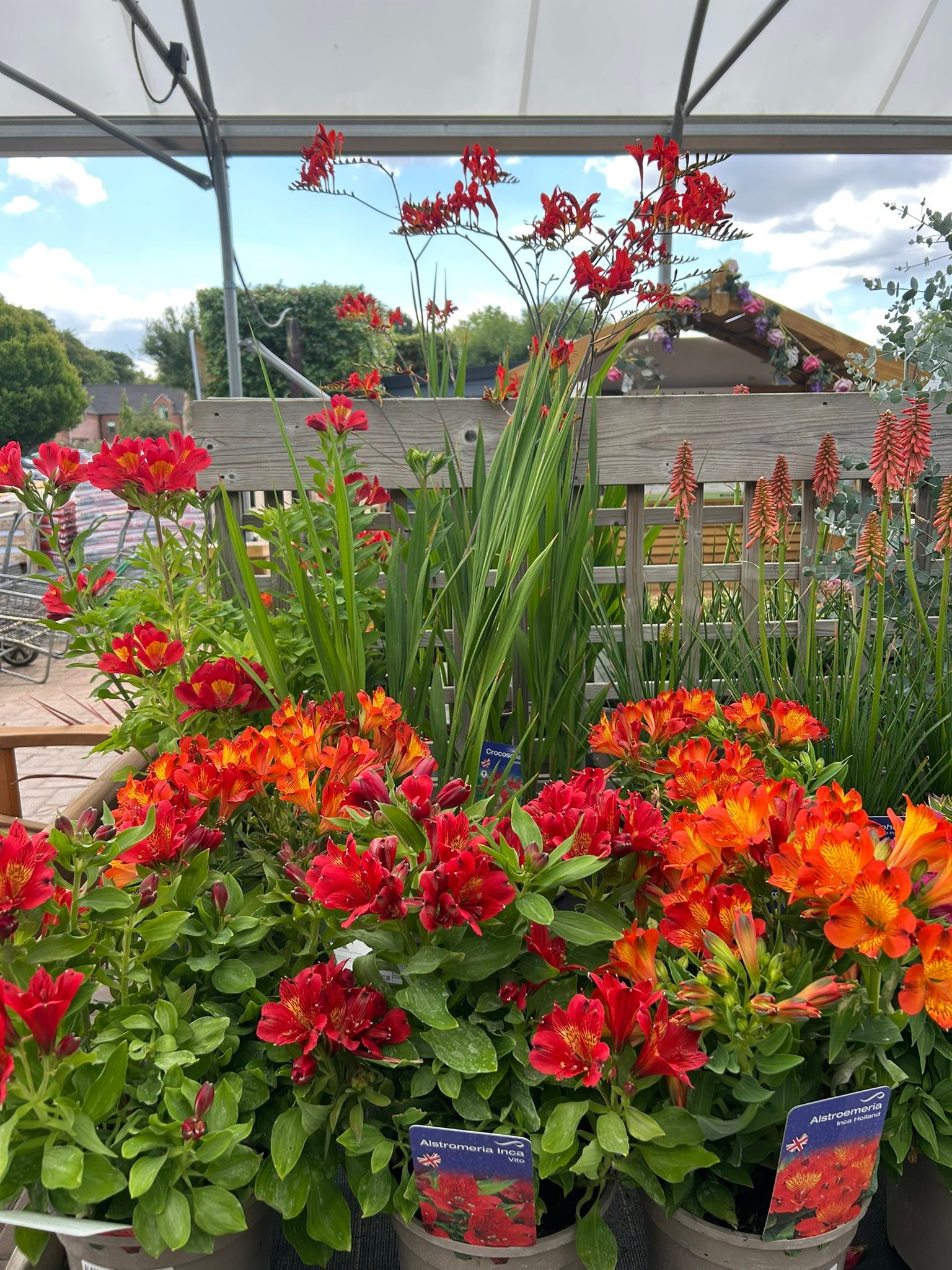 The Plant Plot The Plant Plot Added A New Photo
