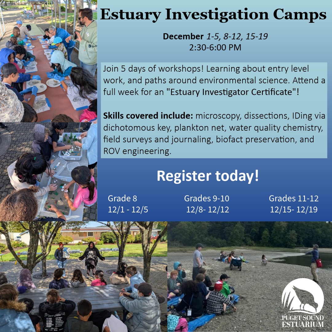 Olympia News & Events | Get ready for Estuary Investigation Winter ...