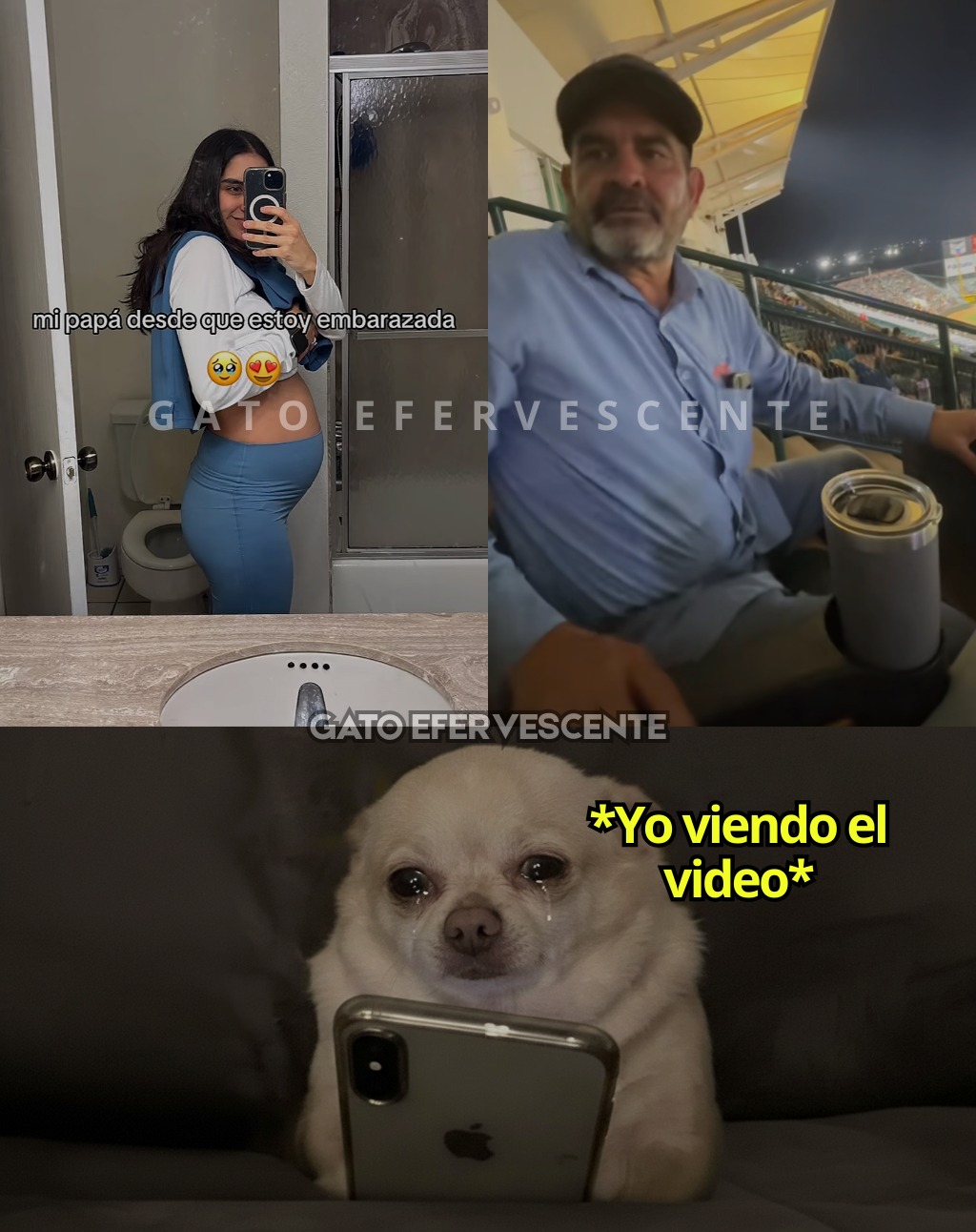 Perla Salazar