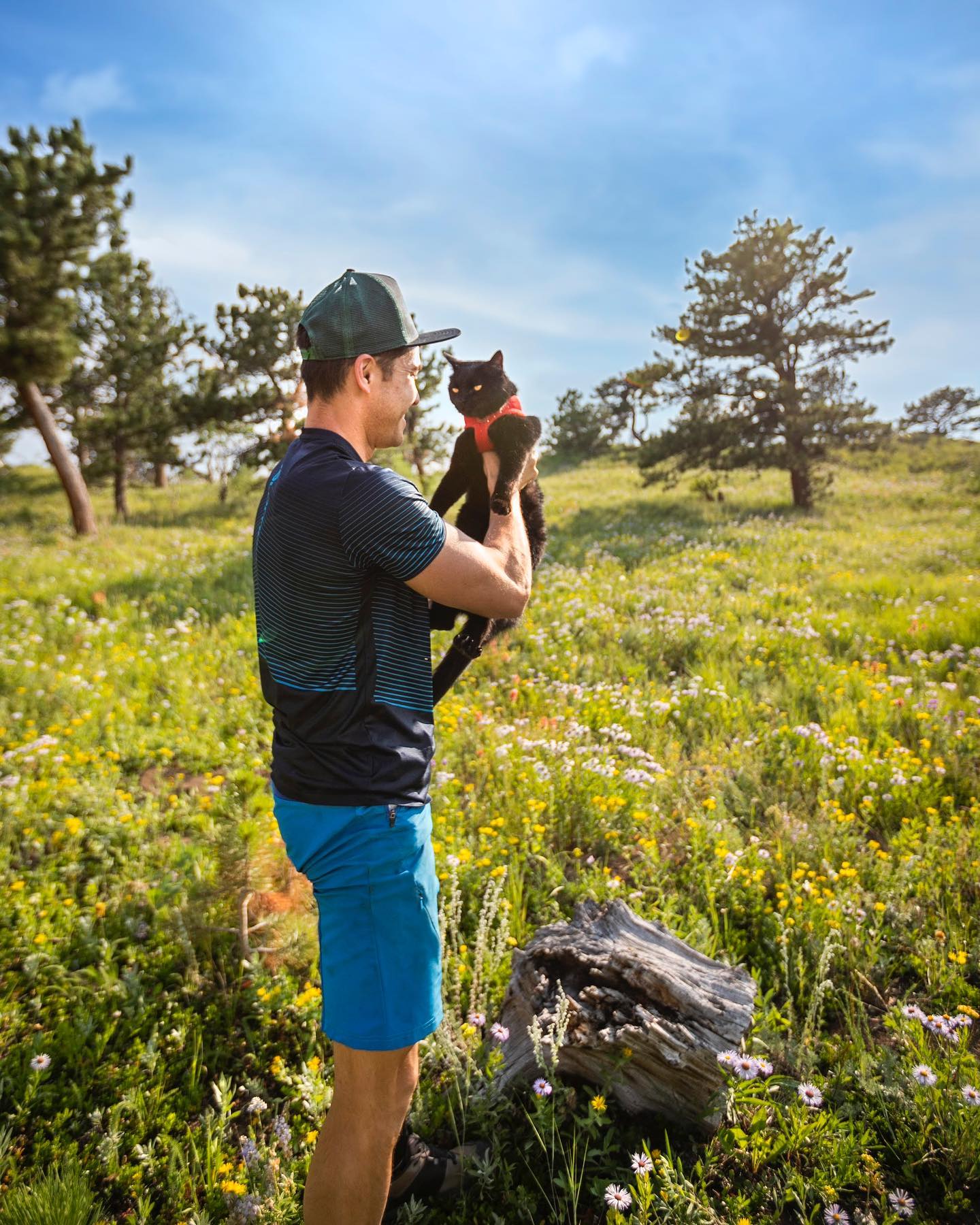 Simon The Backpacking Kitty My Daddy Jjyosh Sure Thinks Hes Funny Holding Me Up Like Simba