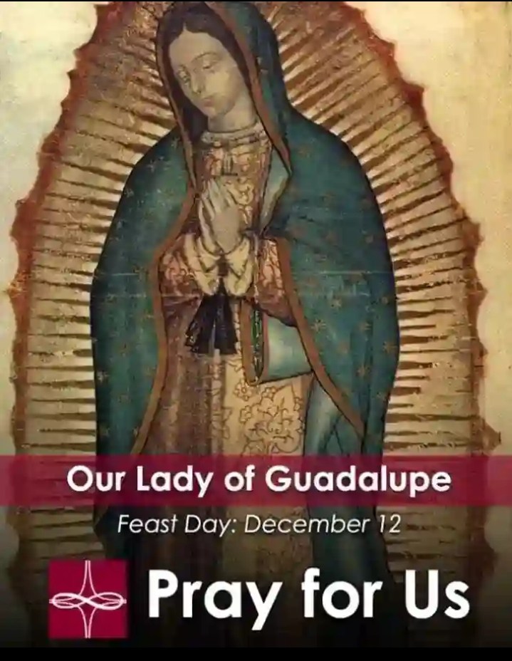Catholic - FEAST OF OUR LADY OF GUADALUPE 12th DECEMBER On December 9 ...