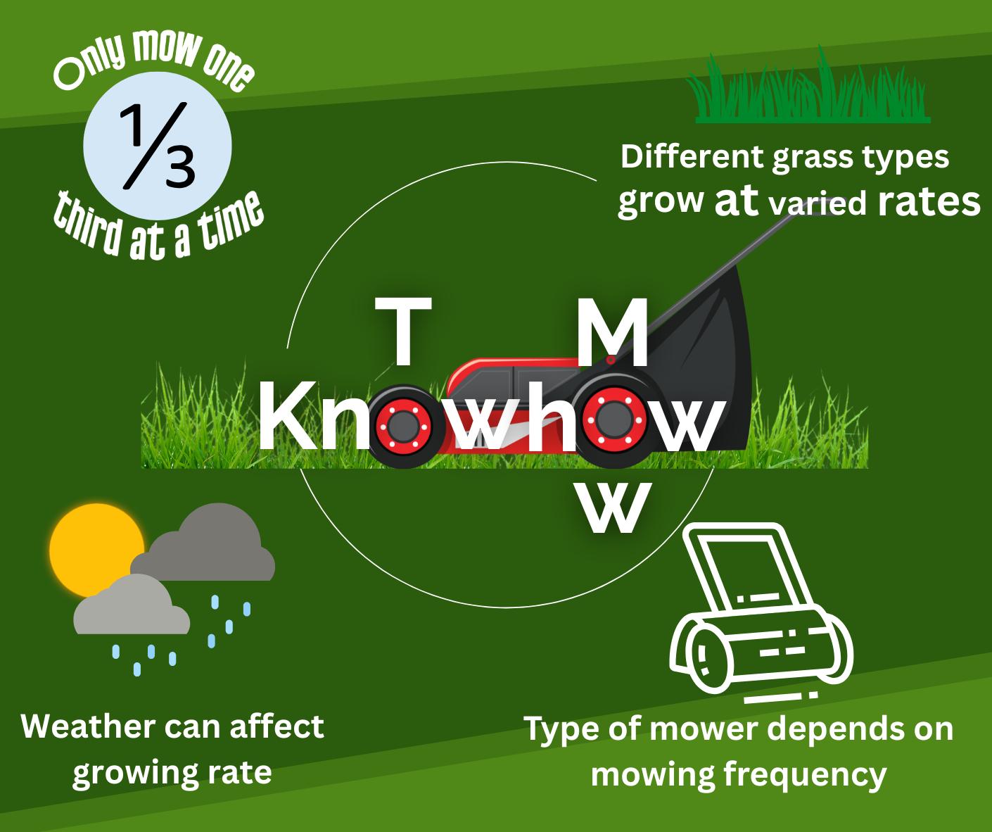 Lawn Master Sussex & Surrey - Struggling to look at this let alone walk ...