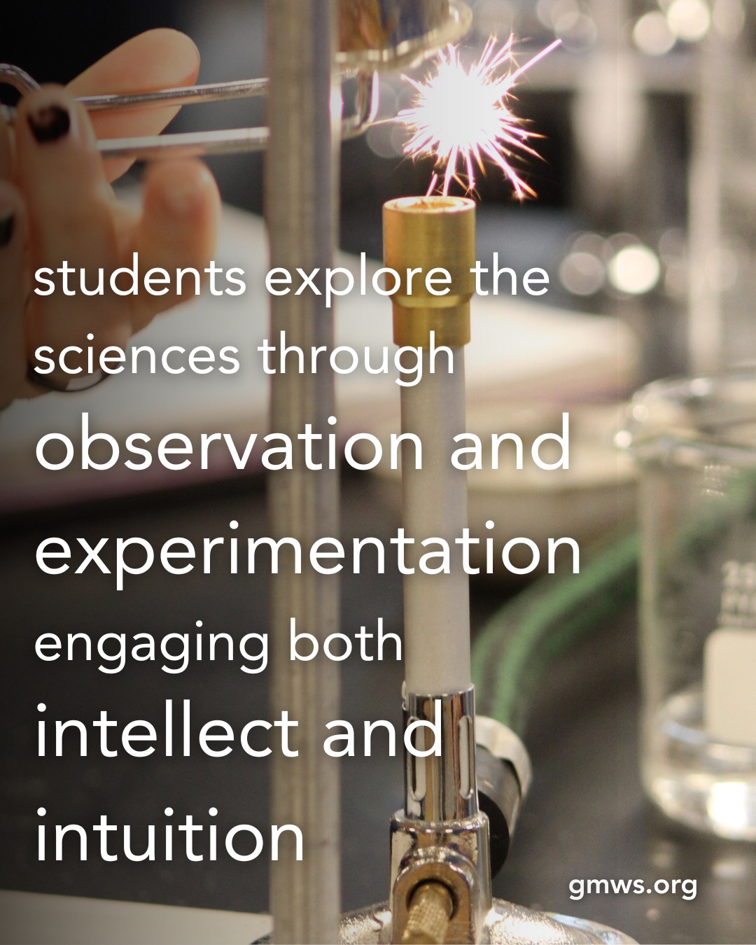 Green - At Green Meadow Waldorf High School, science is a living ...