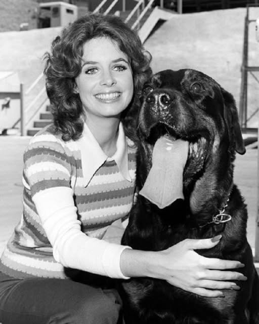 On This Day December 11 1947 The Riley And Kimmy Show Facebook