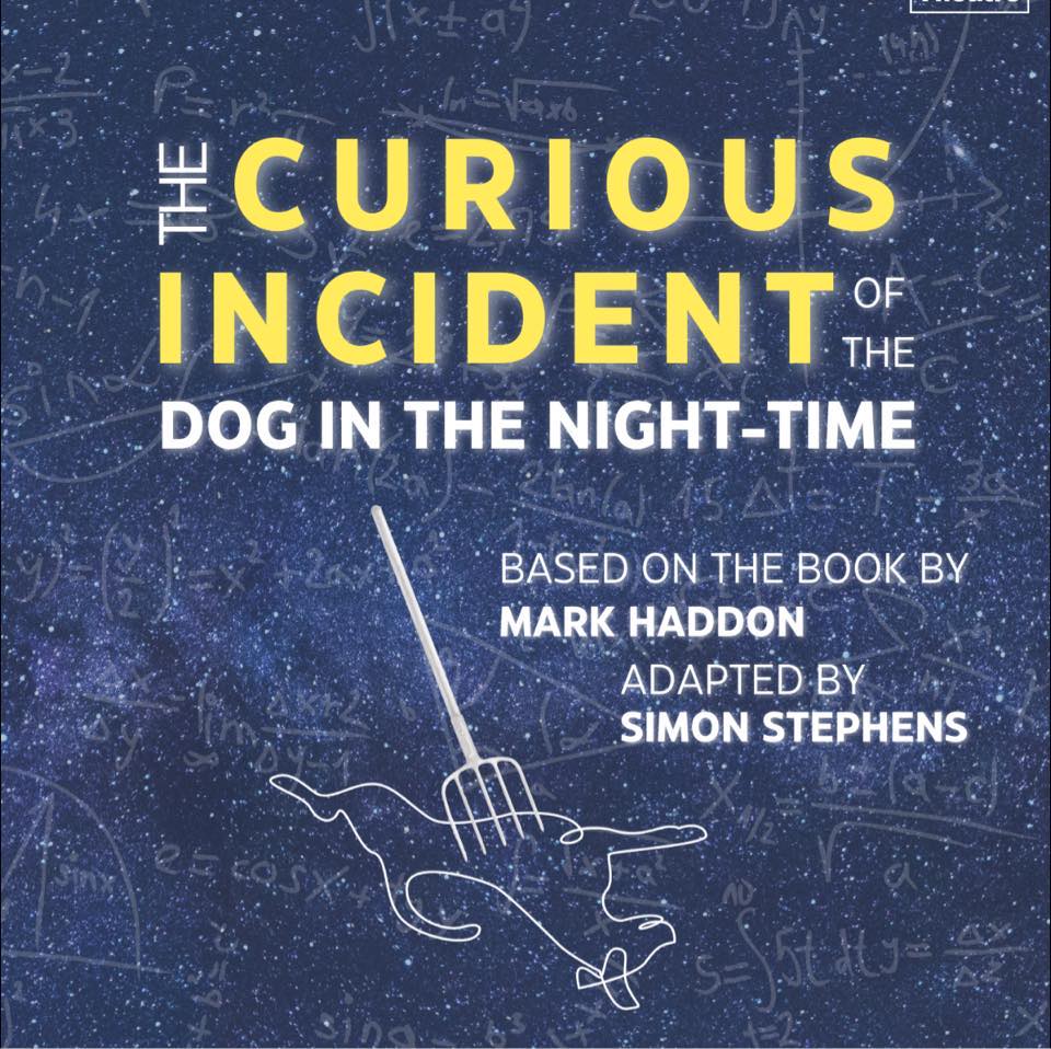 Meeting Christopher through “The Curious Incident of the Dog in the ...