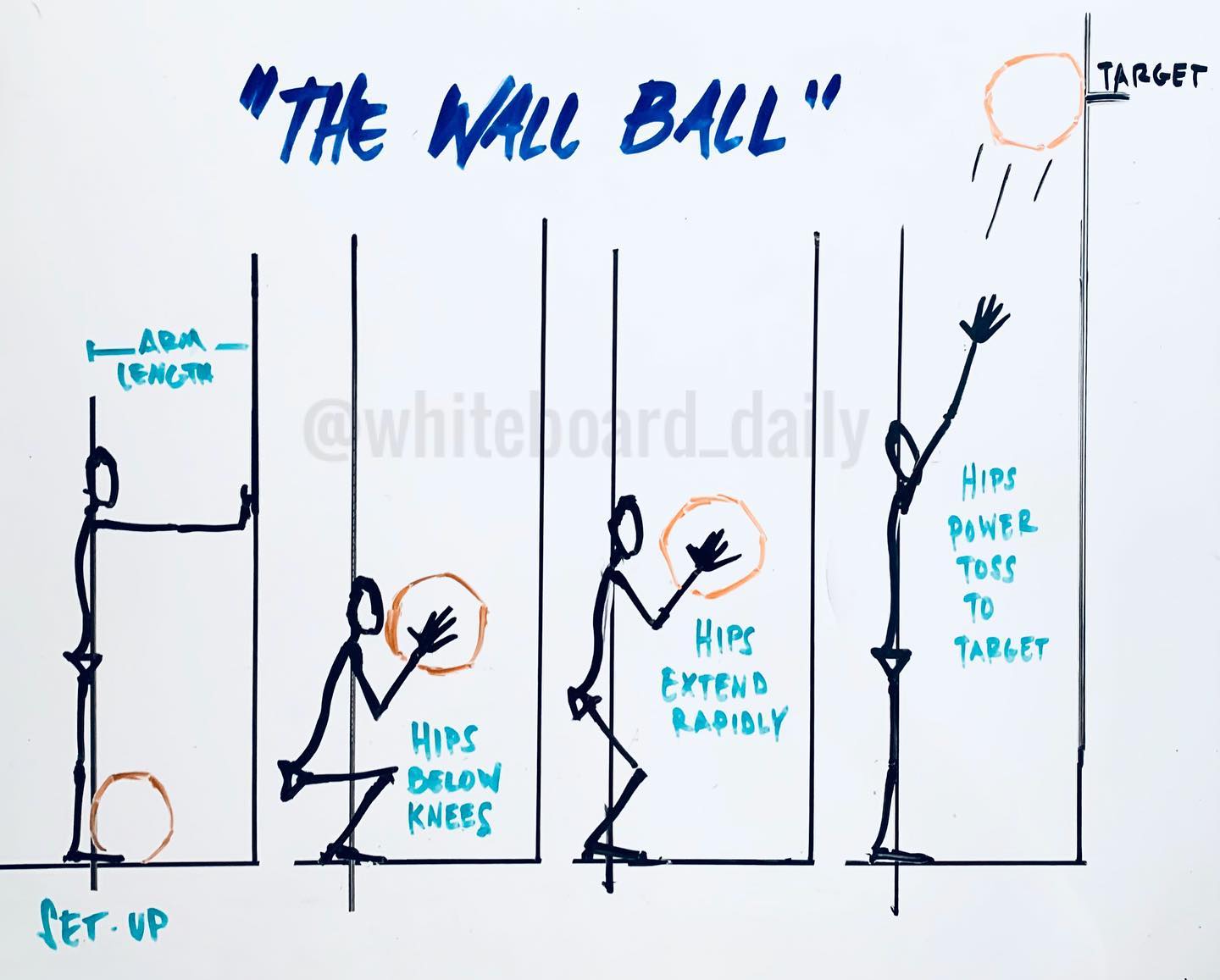 | MOVEMENT LIBRARY | . “The Wall Ball”... - Whiteboard Daily | Facebook