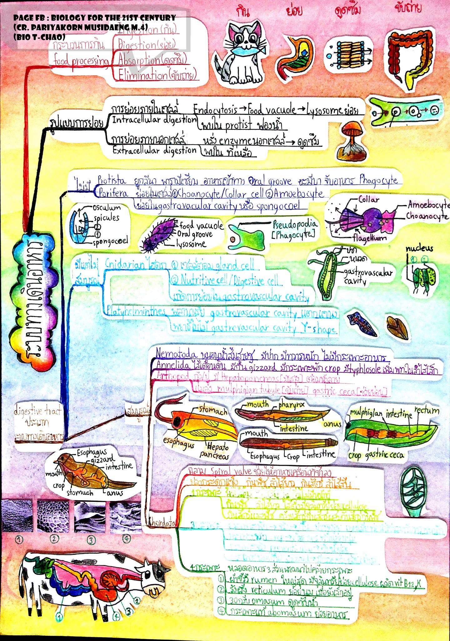 Biology for the 21st Century