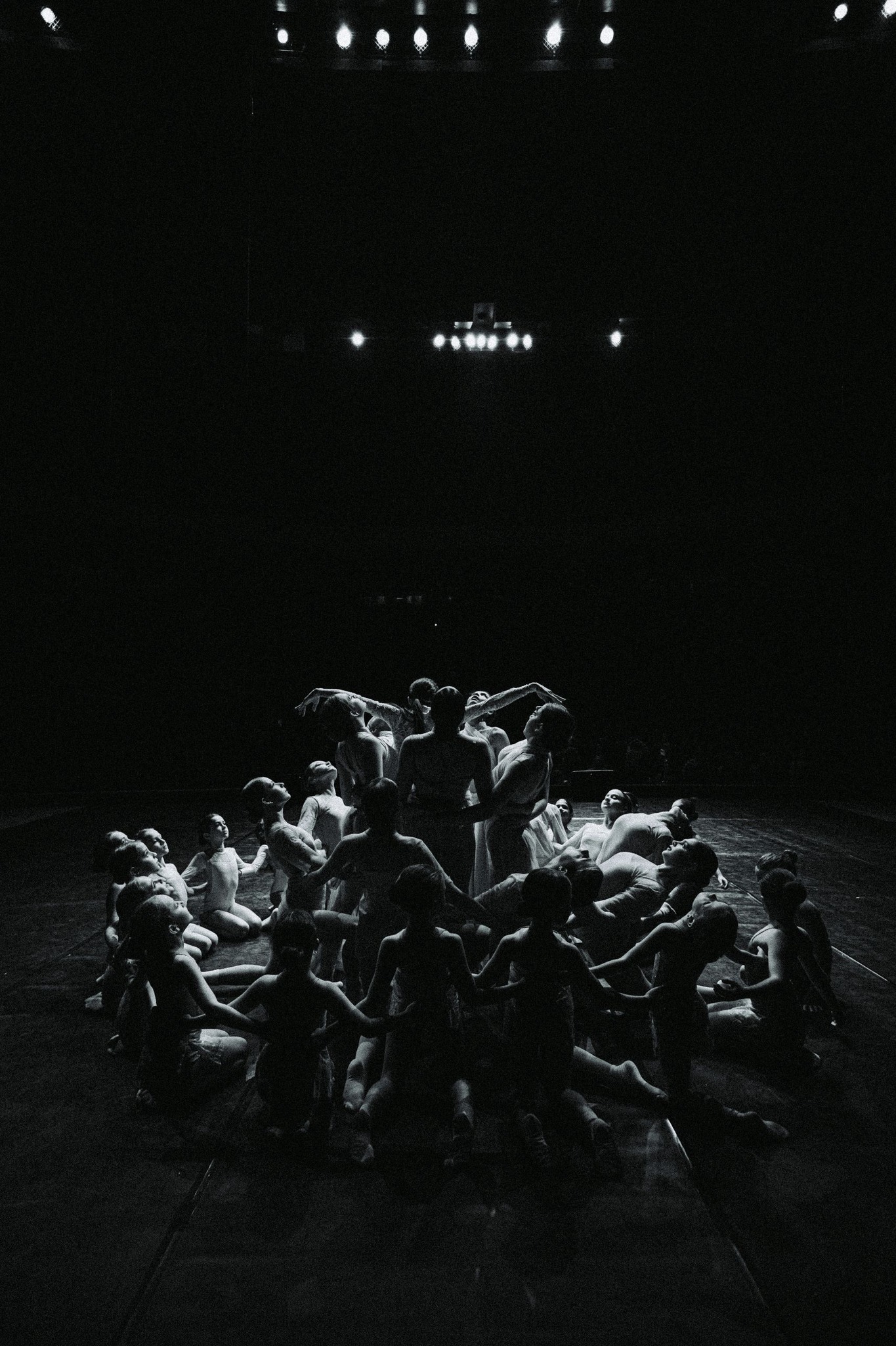 Sofia Open Dance Sofia Open Dance Festival Original 7956