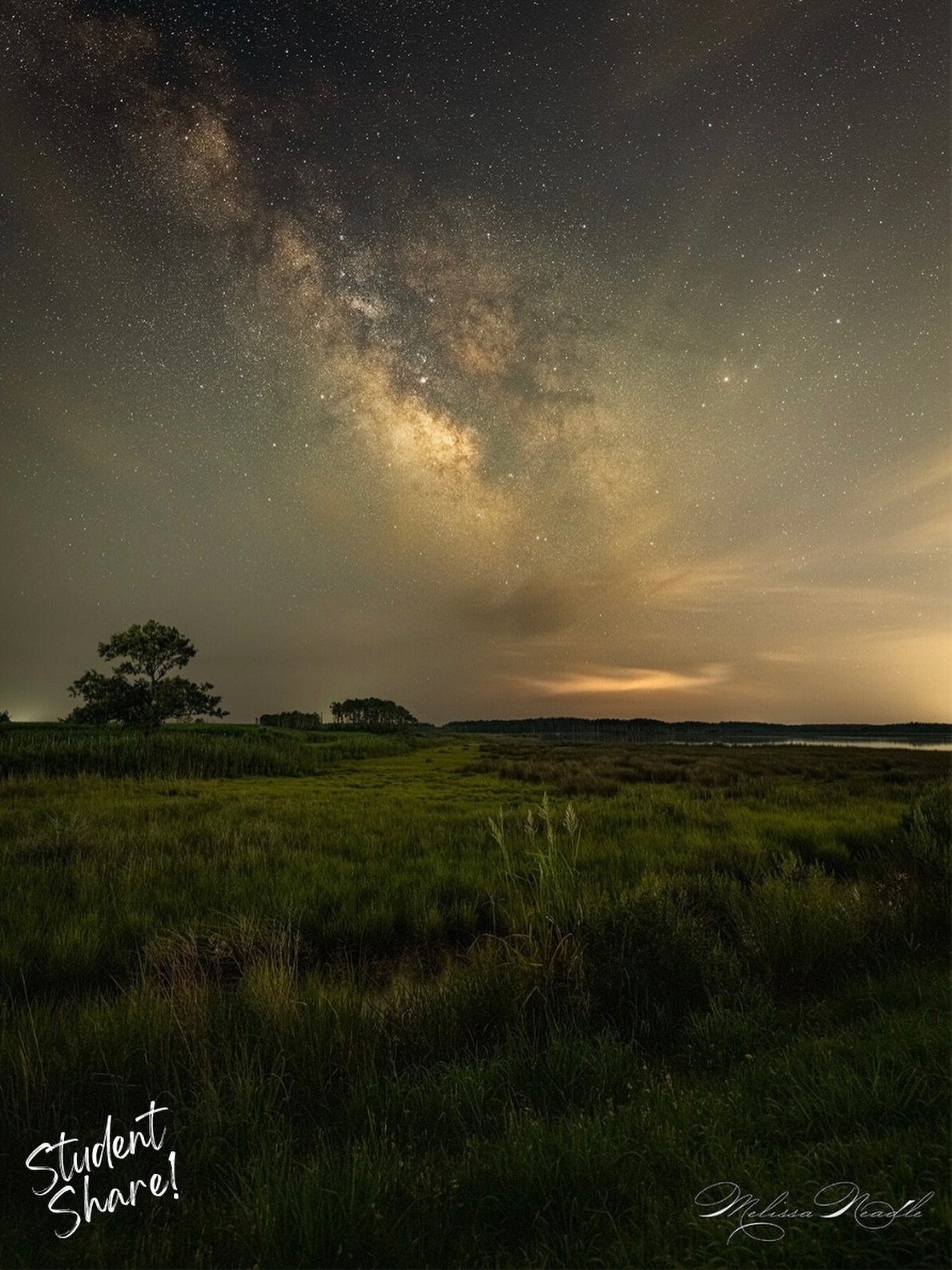 Kristine Rose Photography