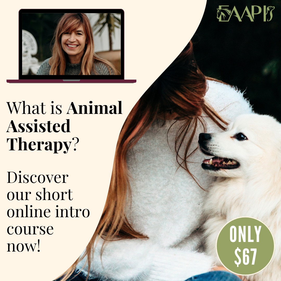 The Equine - Pressed for time but eager to learn about Animal Assisted ...