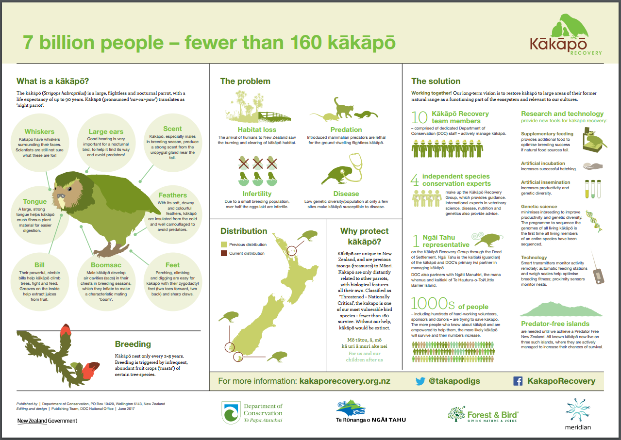 Kākāpō - Our new infographic provides a great visual summary of the ...