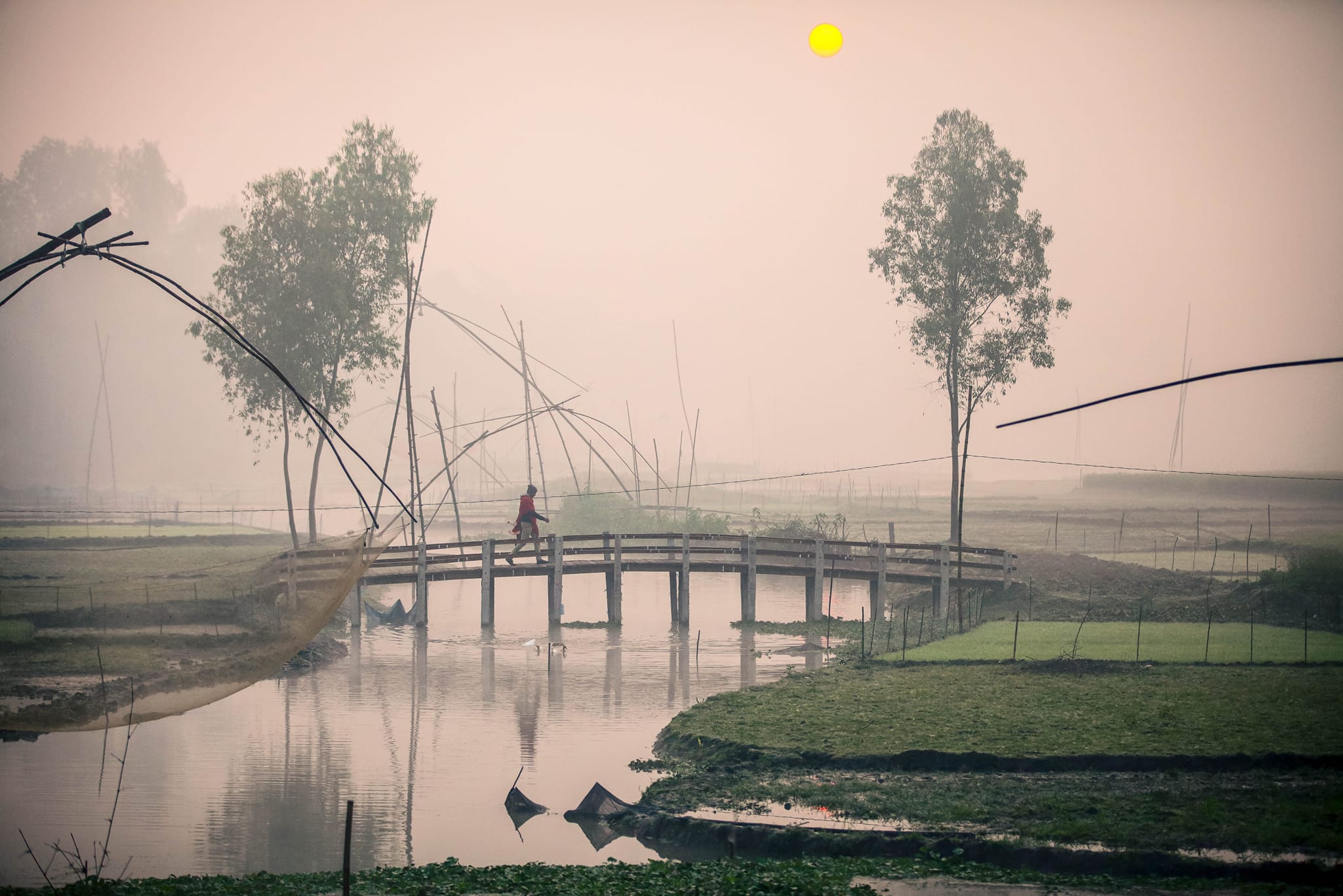 Photoland © Photoland Bd Photographer Toukir Ahamed Photography 8388