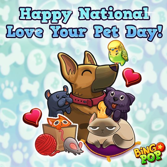 Bingo Pop - Happy National Love Your Pet Day! 😽🥰 Like and... | Facebook