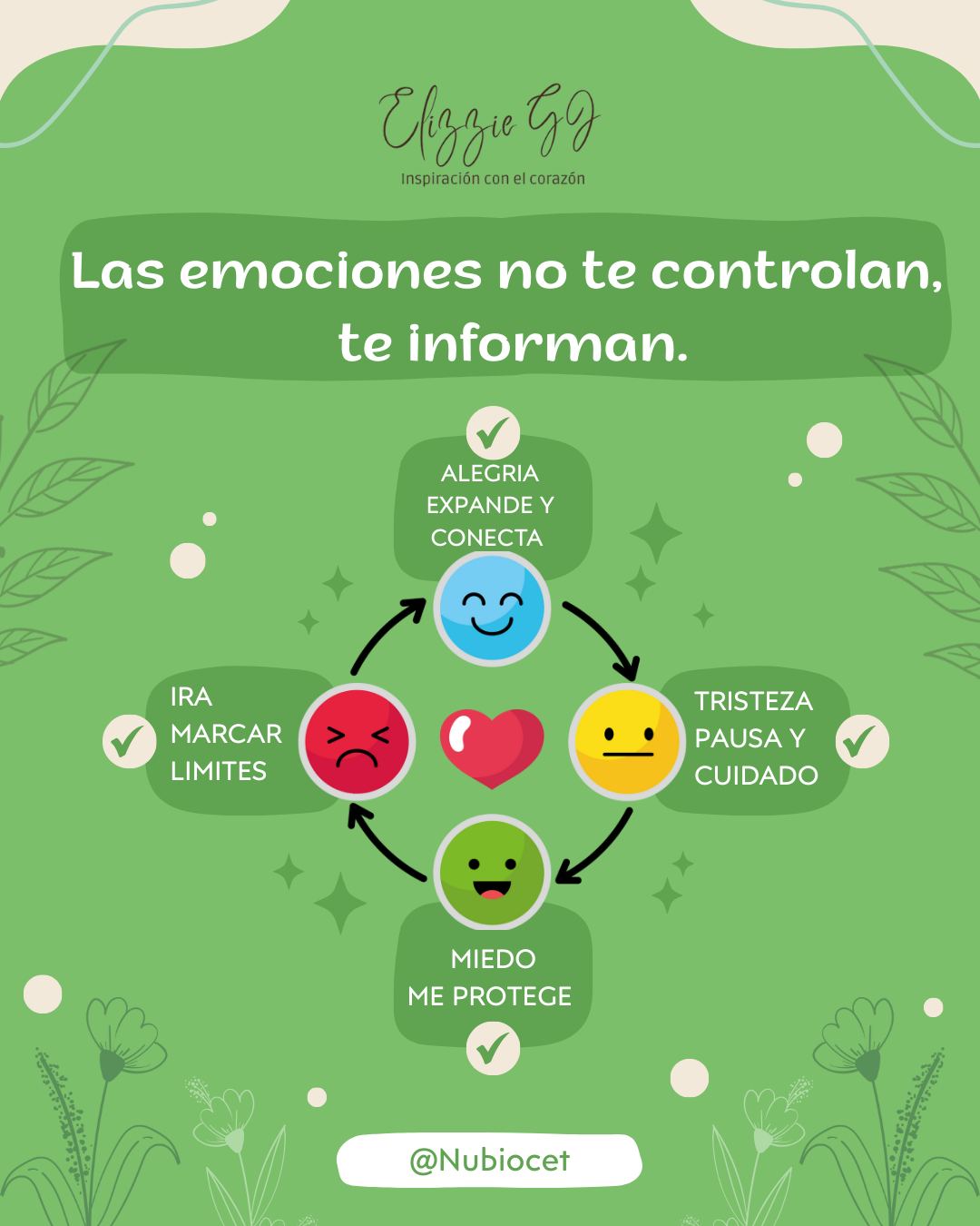 Nubiocet - Las emociones son mensajes internos que influyen en cómo ...