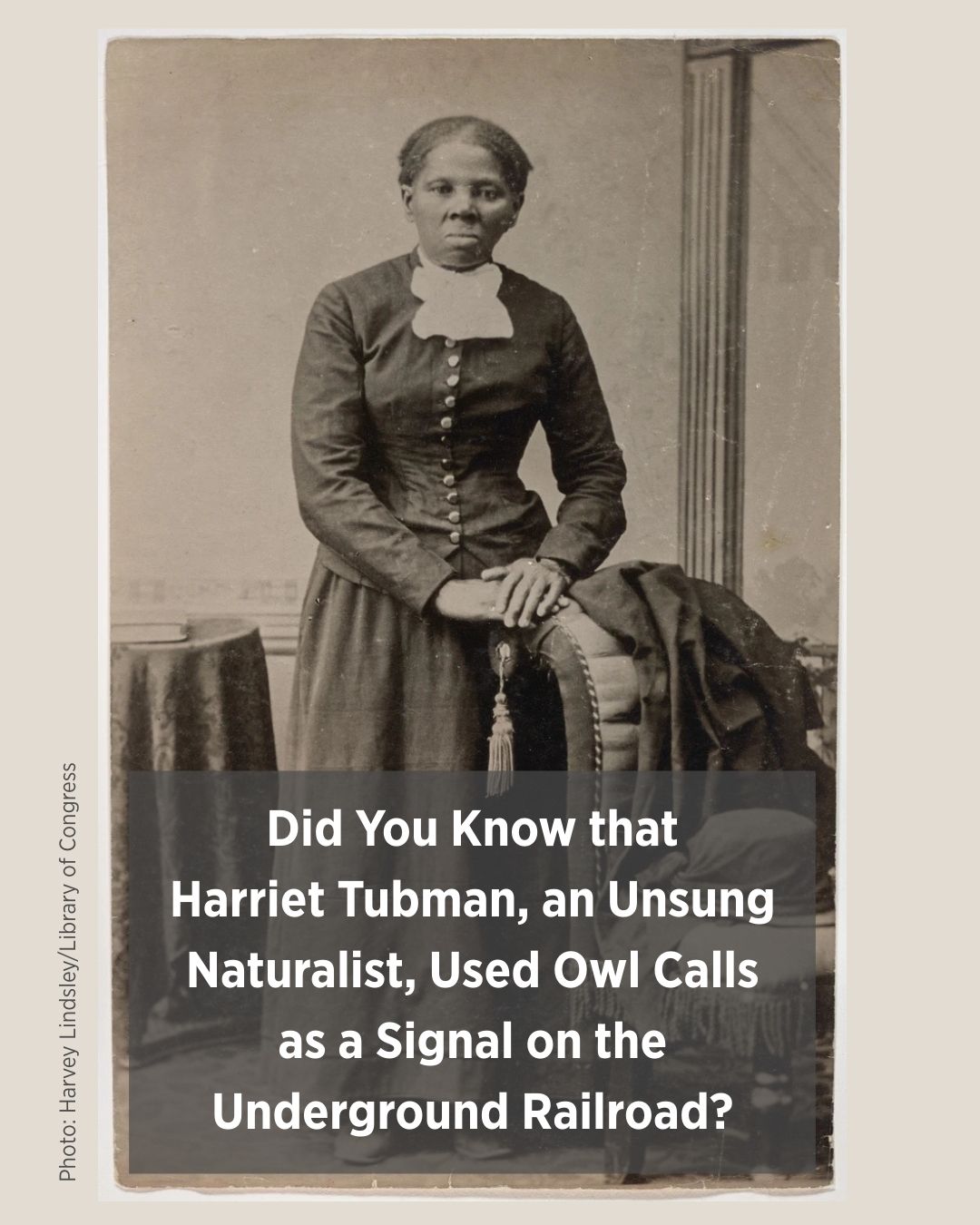 National - Did you know that Harriet Tubman used Barred Owl calls to ...