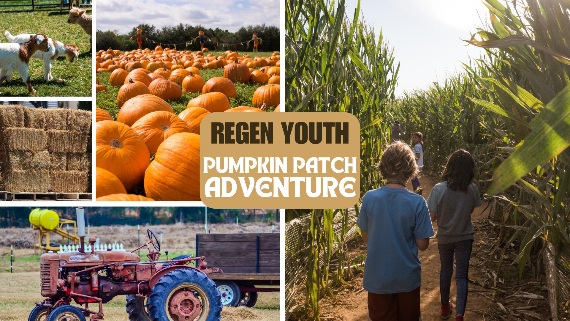 ReGeneration Youth Pumpkin Patch & Corn Maze Adventure