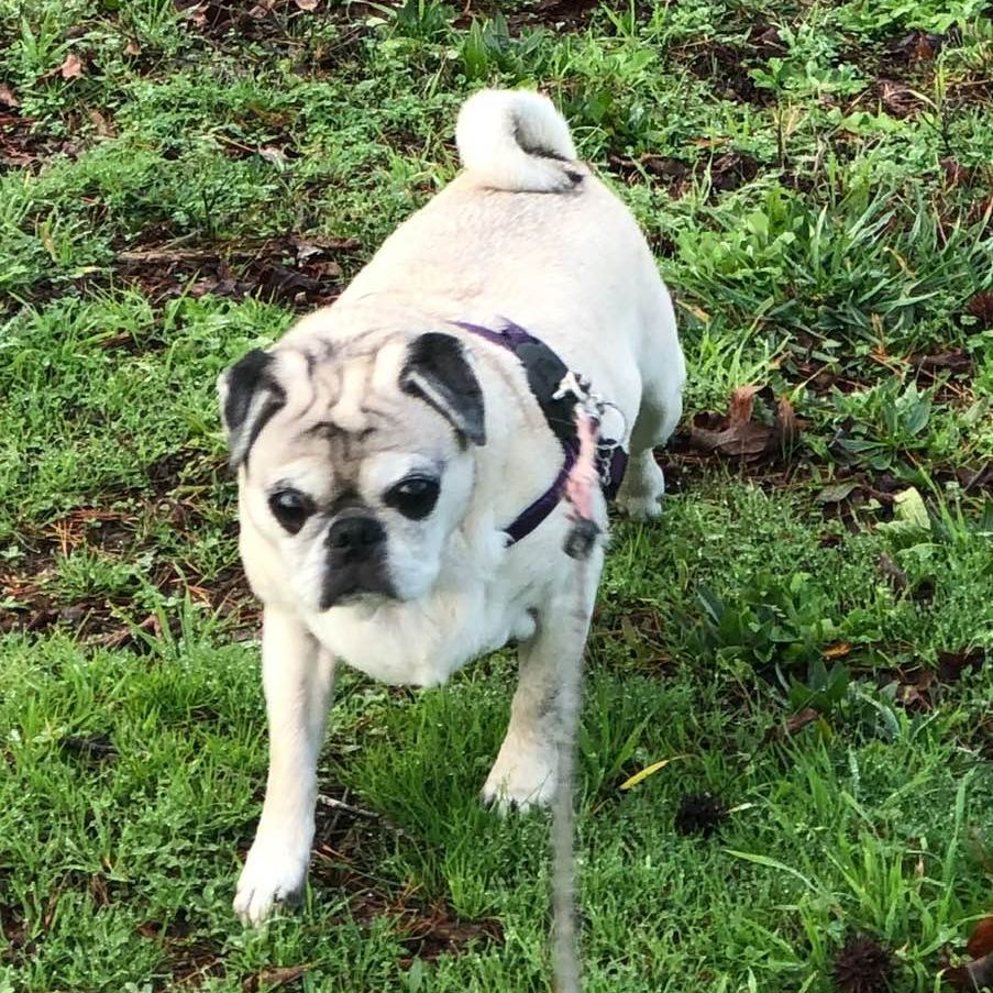 Happy Friday! It looks like Little Biddy is going to make it! And we’ve ...