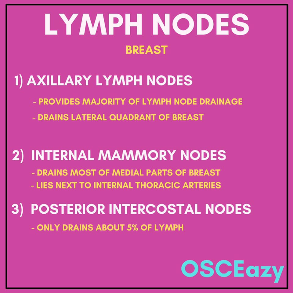 Osceazy Heres A Cheat Sheet On Breast Lymph Nodes Facebook 9031