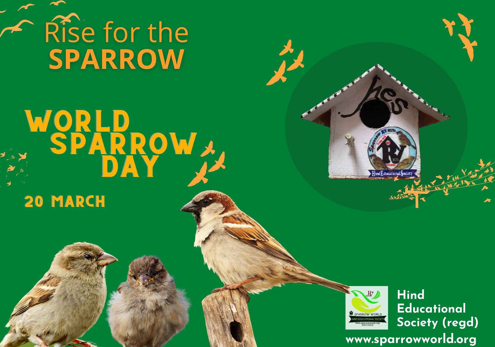 Sparrow World Sparrow World Added A New Photo