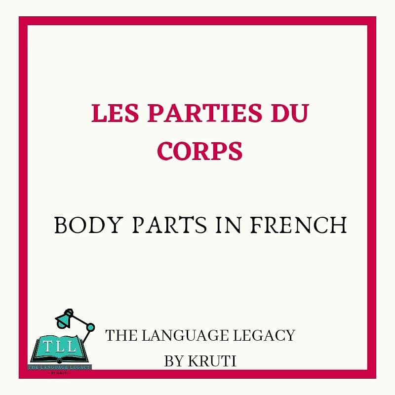 Les parties du corps! . Body parts... - The Language Legacy | Facebook
