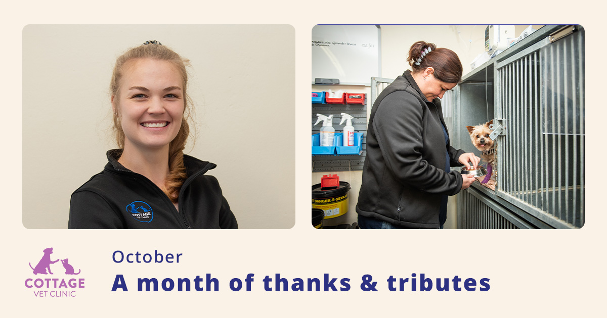 Cottage - October is a special month dedicated to celebrating the ...