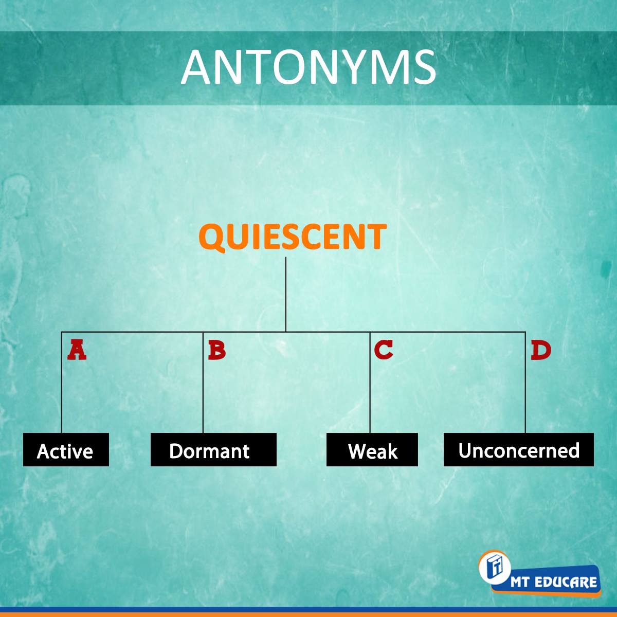 MT Educare - Do you know the Antonyms of Quiescent?... | Facebook