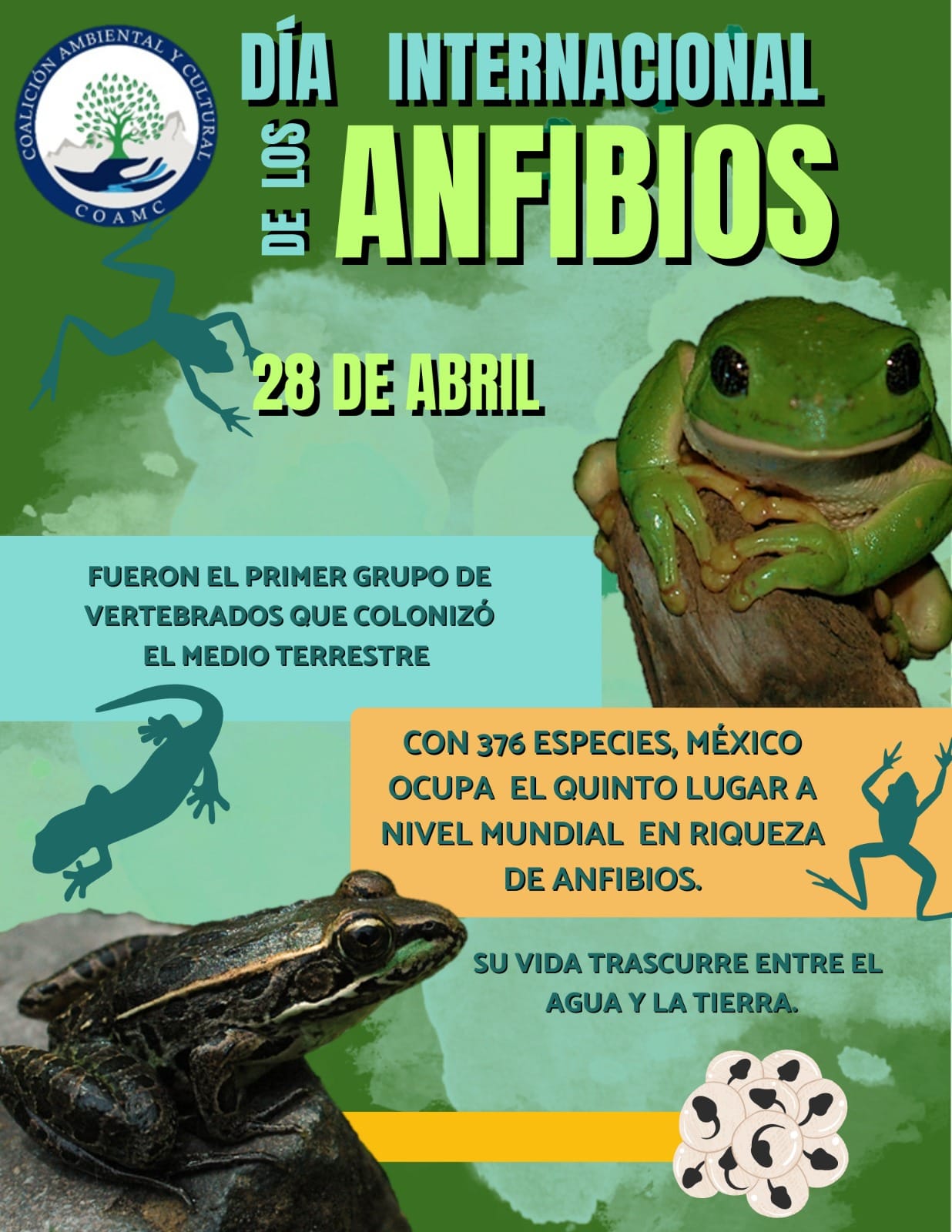 La información es parte... - Coalición Ambiental y Cultural